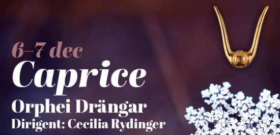 Caprice 2025 - Orphei Drängar
